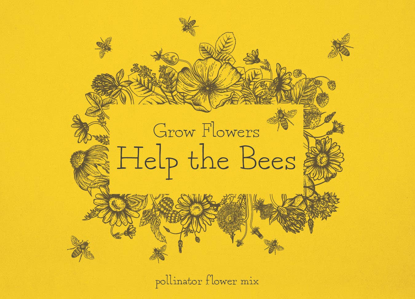 Grow Flowers Help the Bees - Pollinator Wildflower Seed Packets – For ...